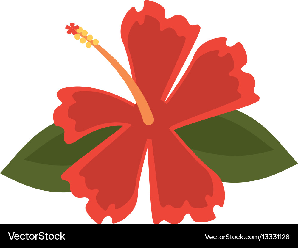 Hibiscus flower exotic icon Royalty Free Vector Image