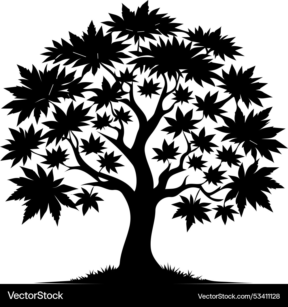 Maple tree art Royalty Free Vector Image - VectorStock