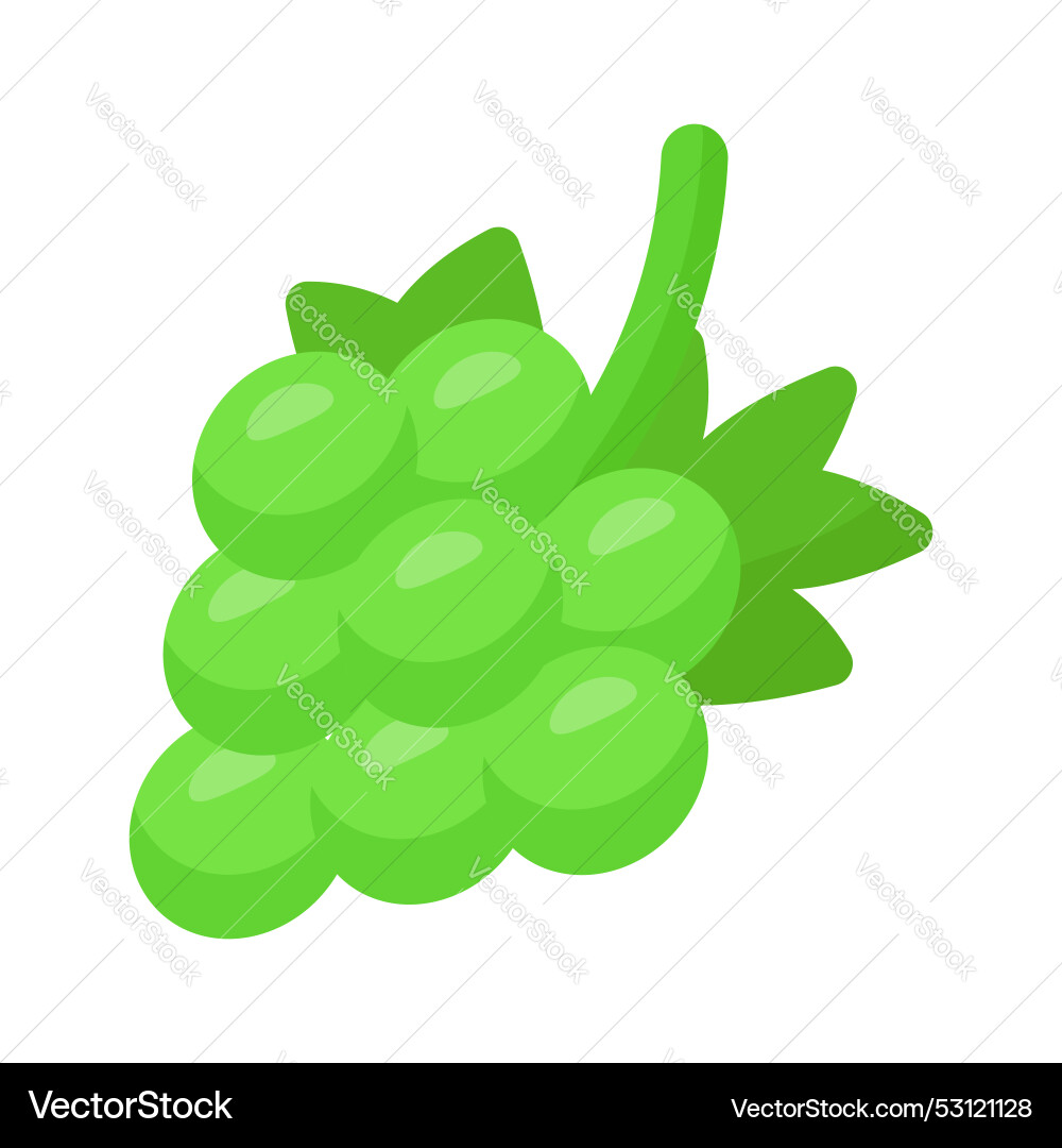 Raisins Royalty Free Vector Image - VectorStock