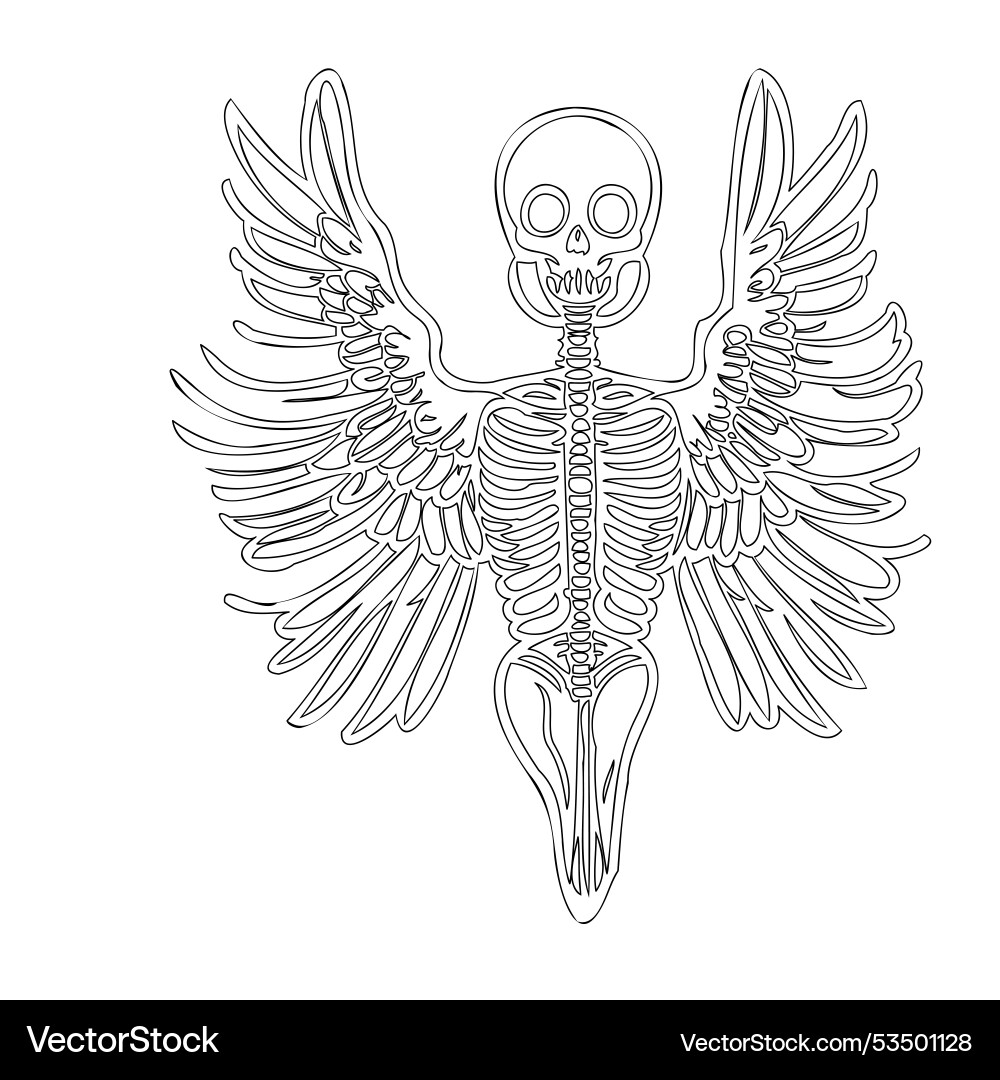 Skeleton angel outline sketch Royalty Free Vector Image