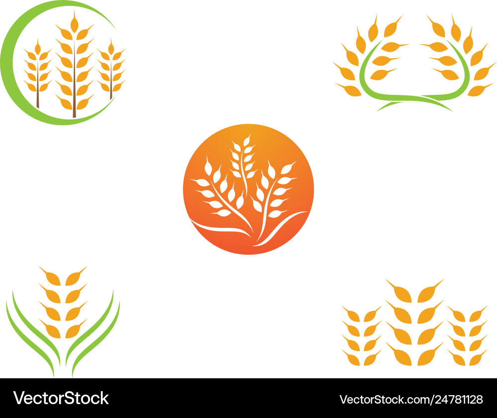 Wheat symbol Royalty Free Vector Image - VectorStock