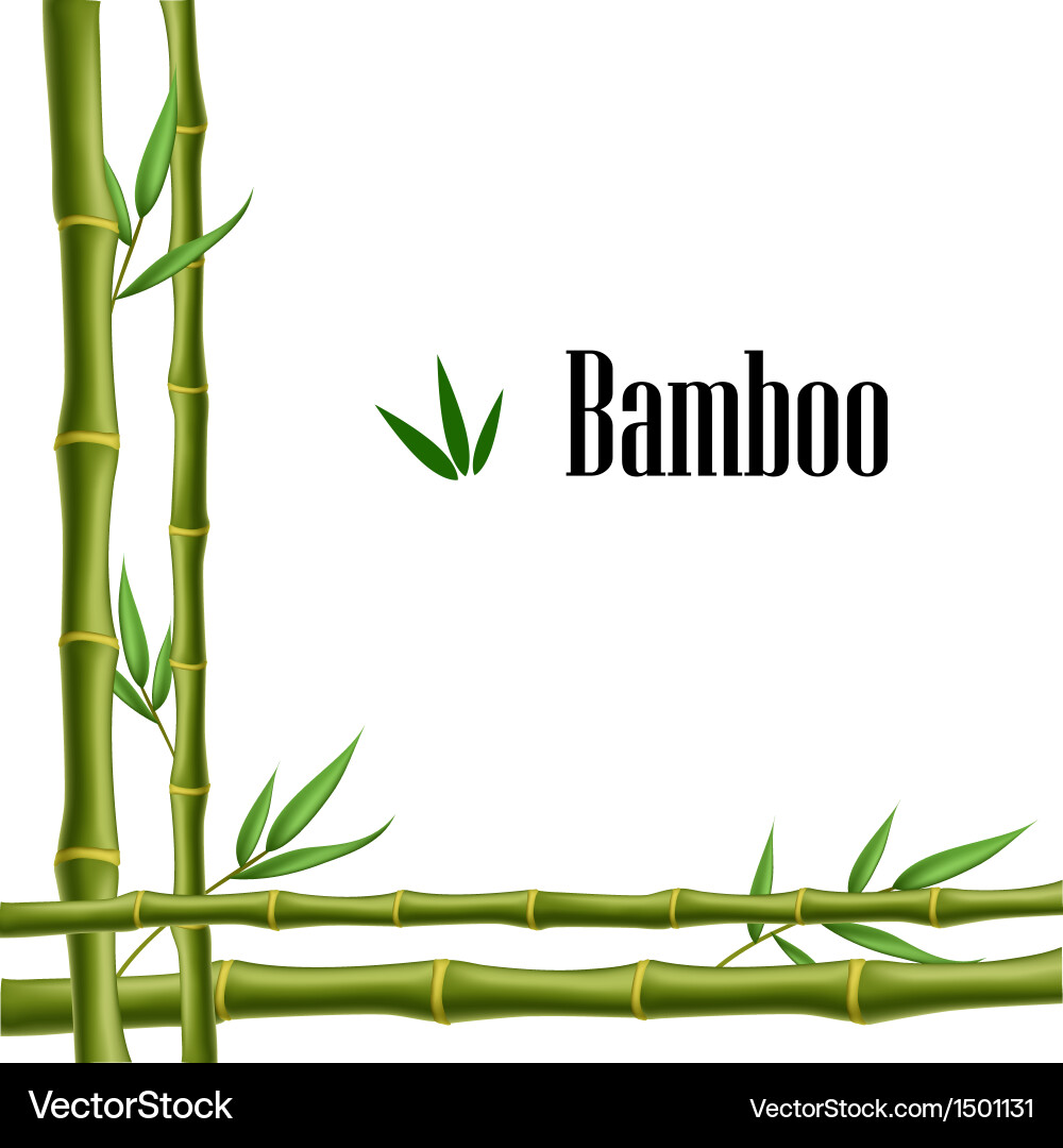 Bamboo frame Royalty Free Vector Image - VectorStock