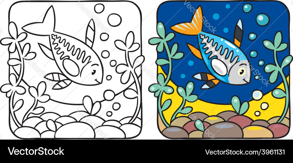 Cute X-Ray Fish Coloring Page Royalty Free Vector Image