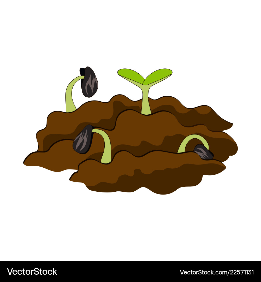 Growing plant in soil Royalty Free Vector Image