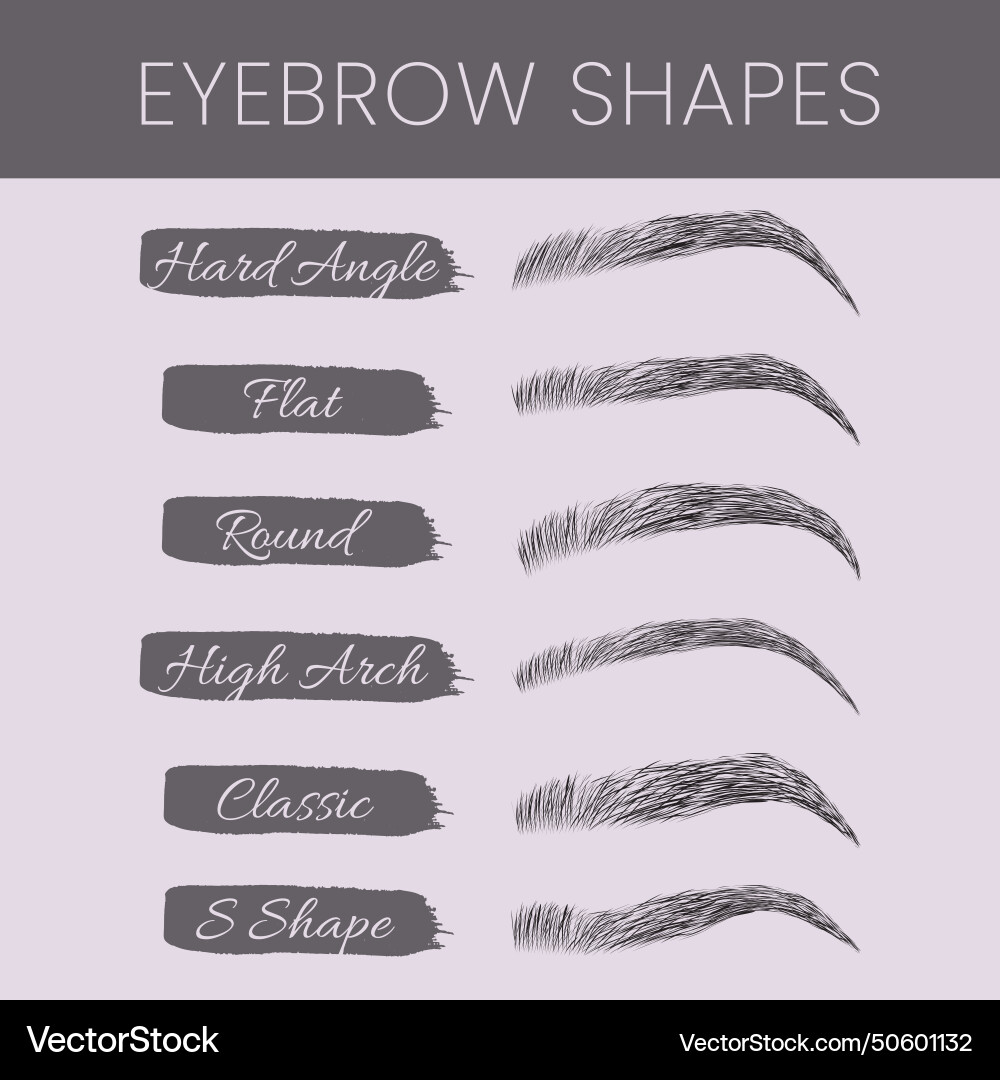 Eyebrow shapes types Royalty Free Vector Image