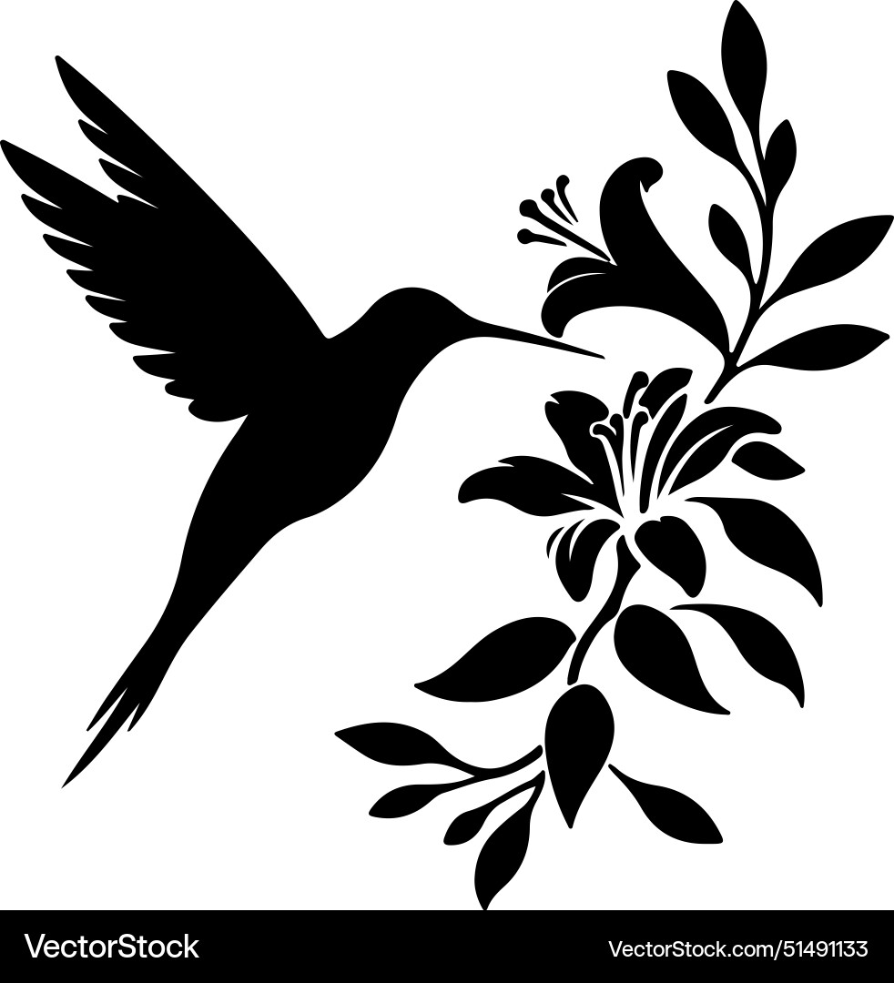 Flying hummingbirds silhouette isolated on white Vector Image