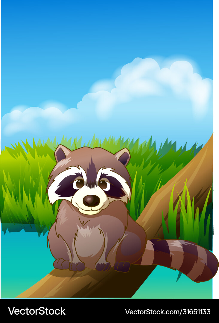 Raccoon cartoon Royalty Free Vector Image - VectorStock