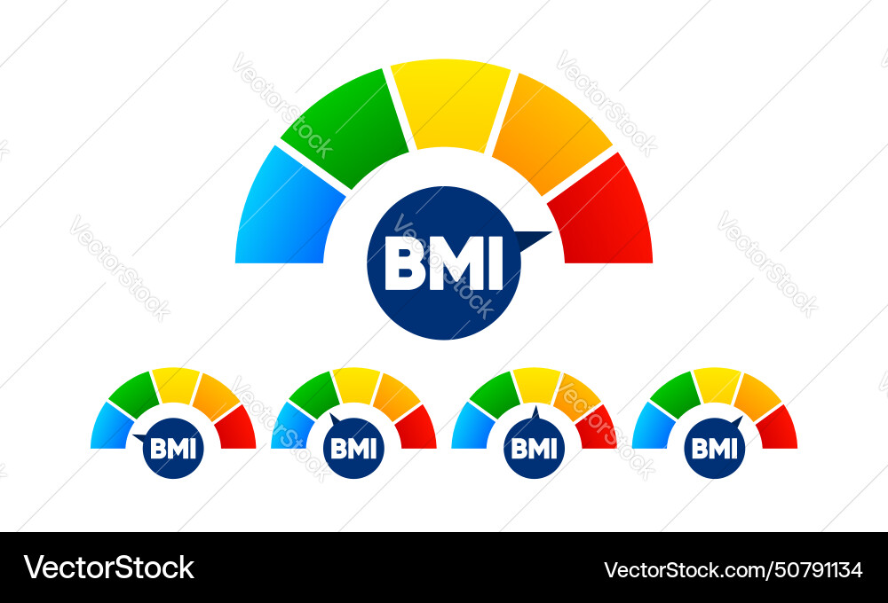 Body mass index level concept obese chart Vector Image
