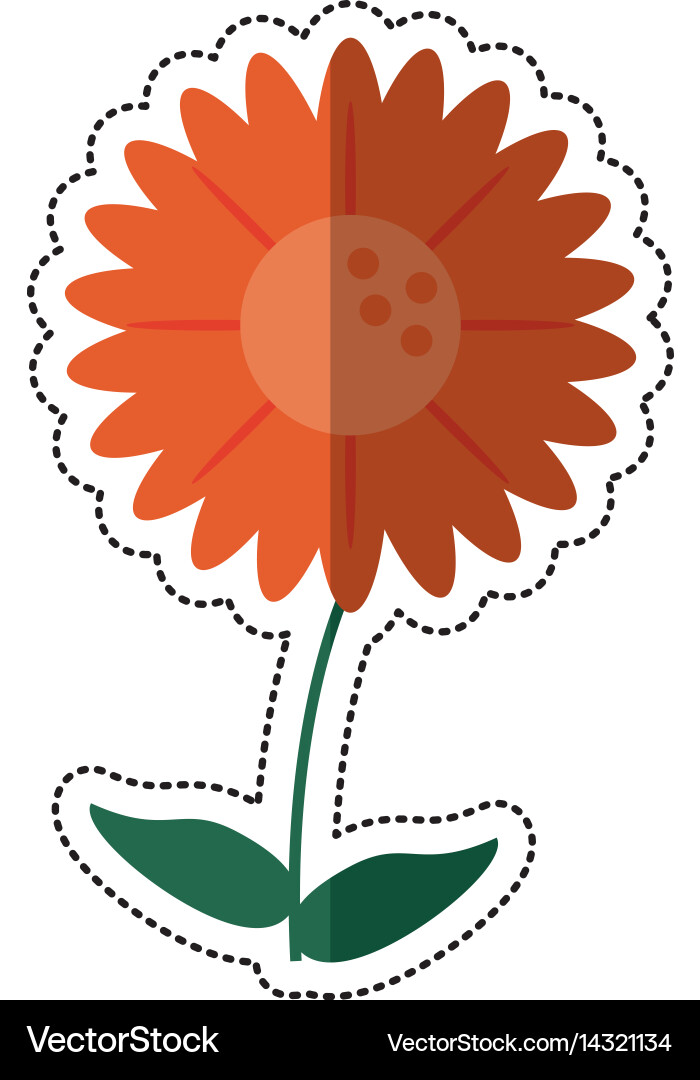Cartoon gerbera flower natural Royalty Free Vector Image