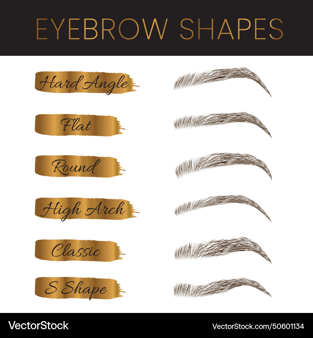 Eyebrow shapes types with gold Royalty Free Vector Image