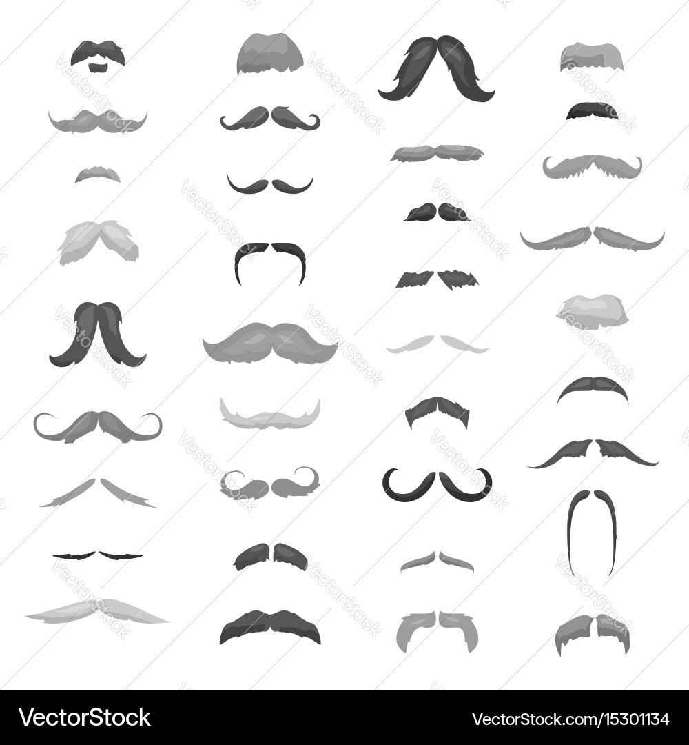 Huge collection mustache retro curly set Vector Image