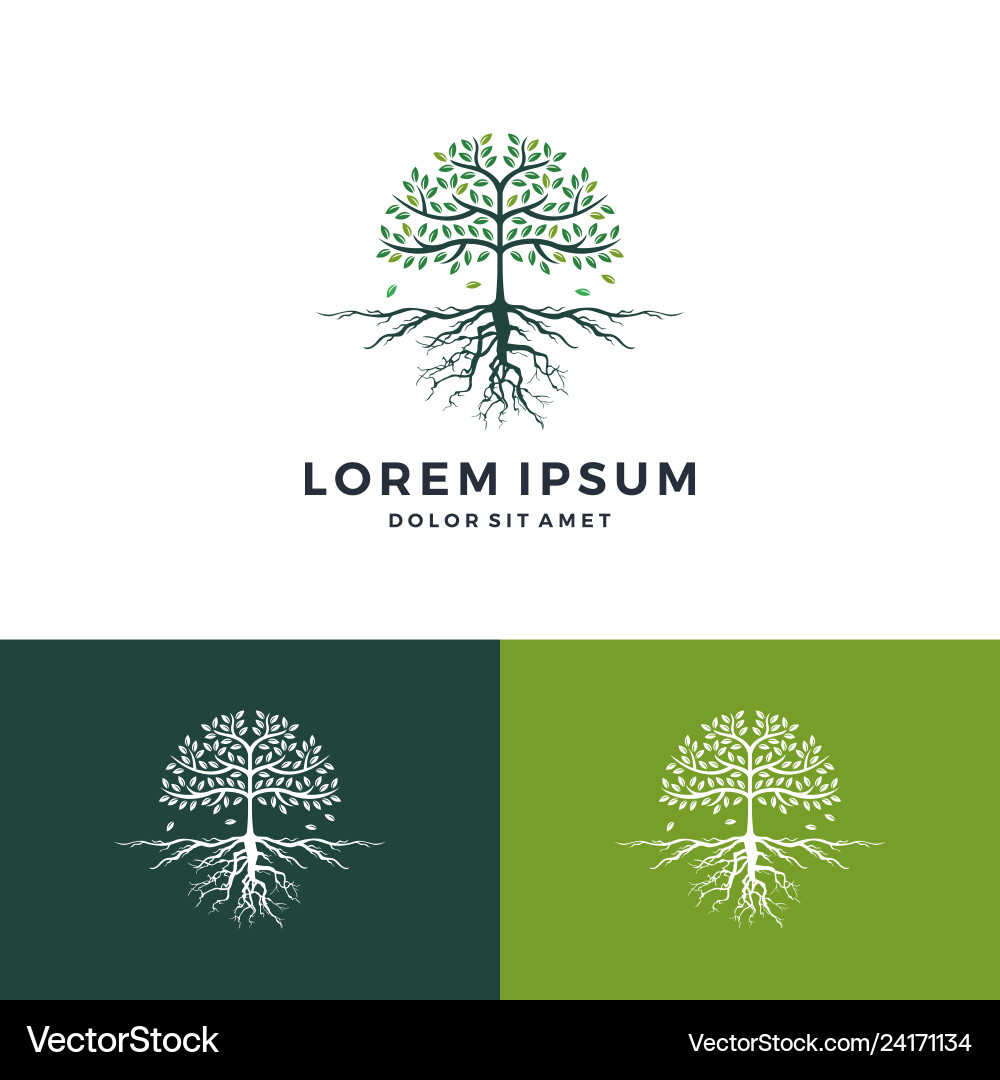 Tree and root logo leaf Royalty Free Vector Image
