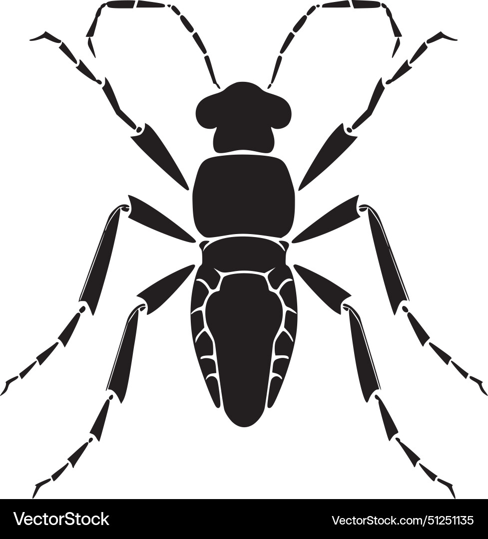 Ant Black And White Royalty Free Vector Image