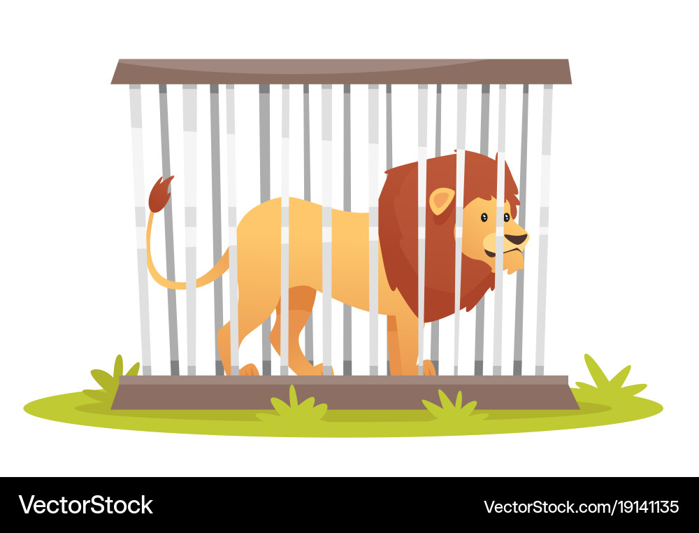 Lion in cage Royalty Free Vector Image - VectorStock
