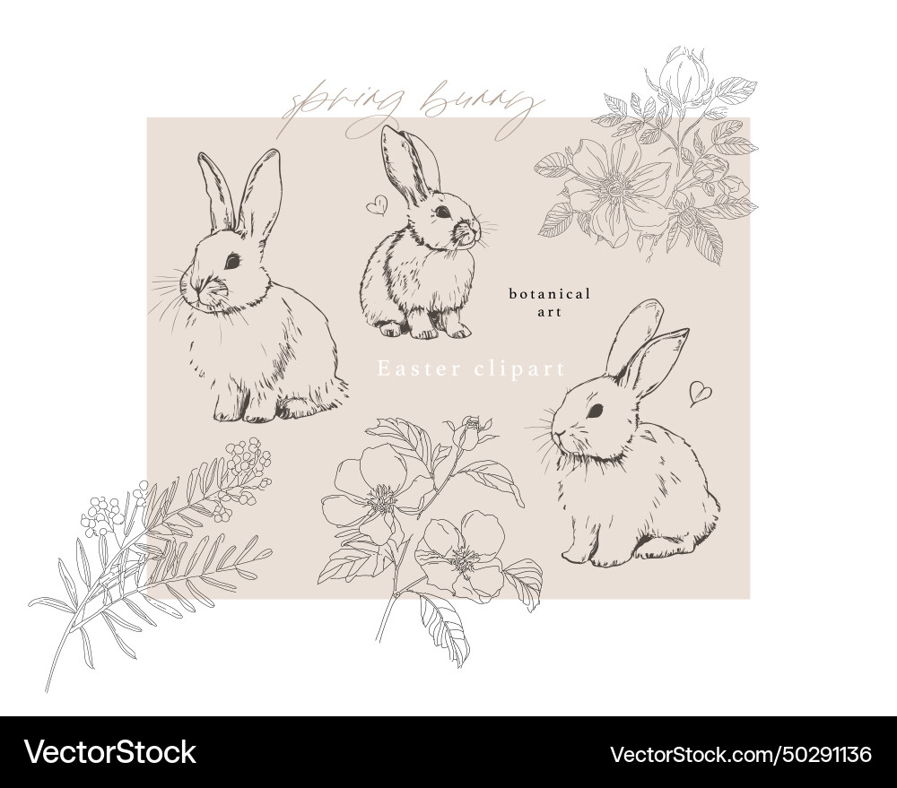 Spring flowers and easter bunnies clipart Vector Image