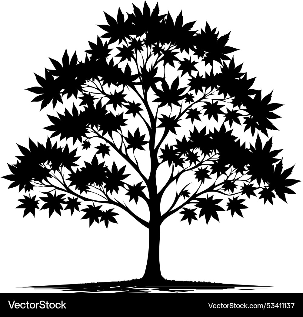 Maple tree art Royalty Free Vector Image - VectorStock