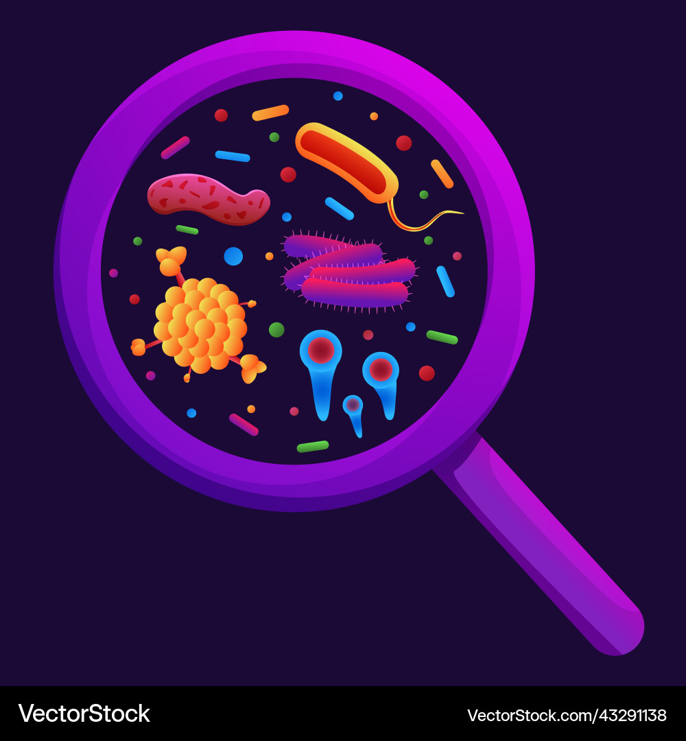Bacteria infection magnify glass with microbiome Vector Image