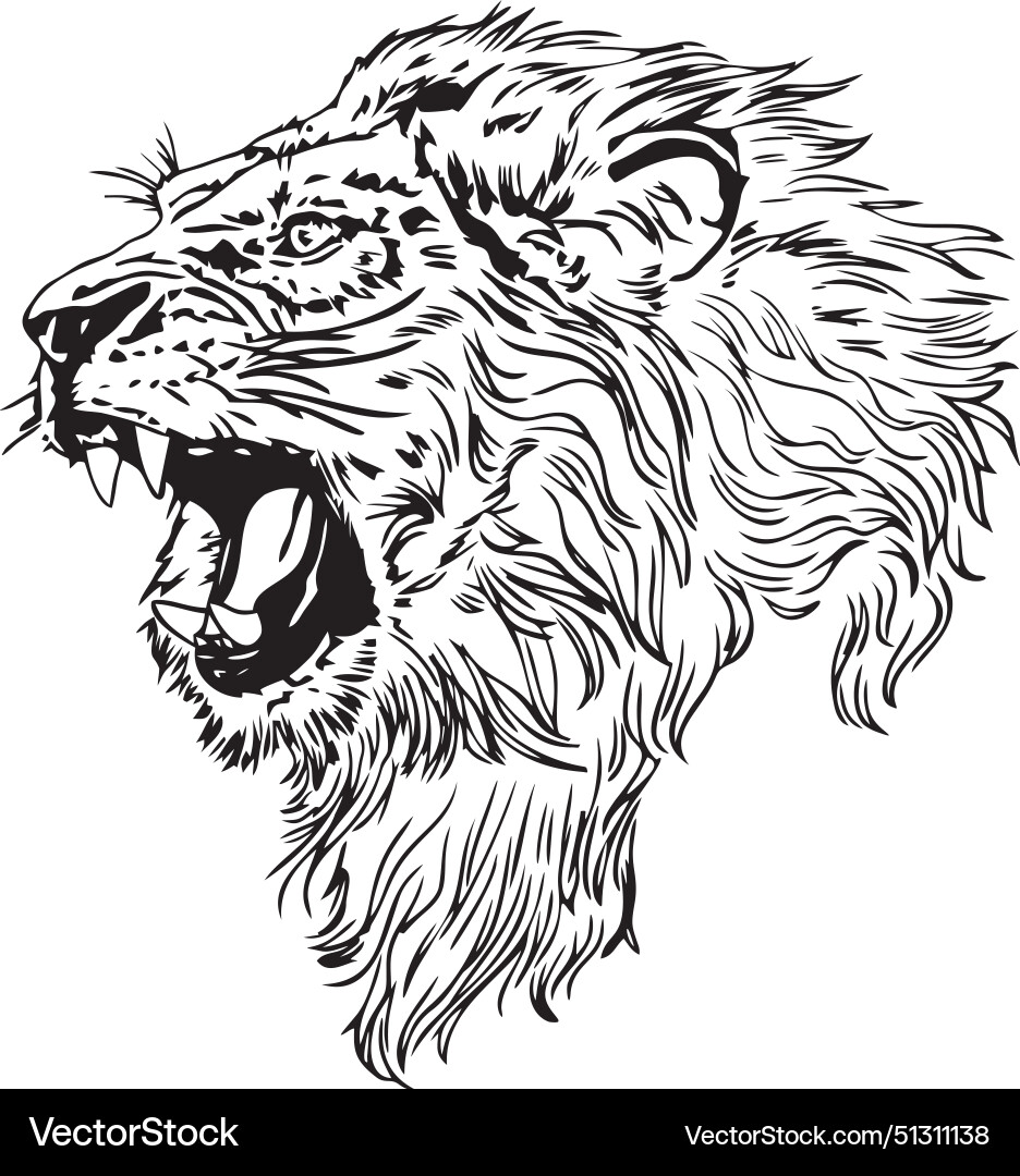Black and White Lion Roar Royalty Free Vector Image
