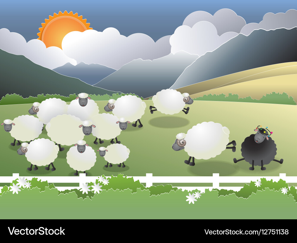 Black sheep in field Royalty Free Vector Image