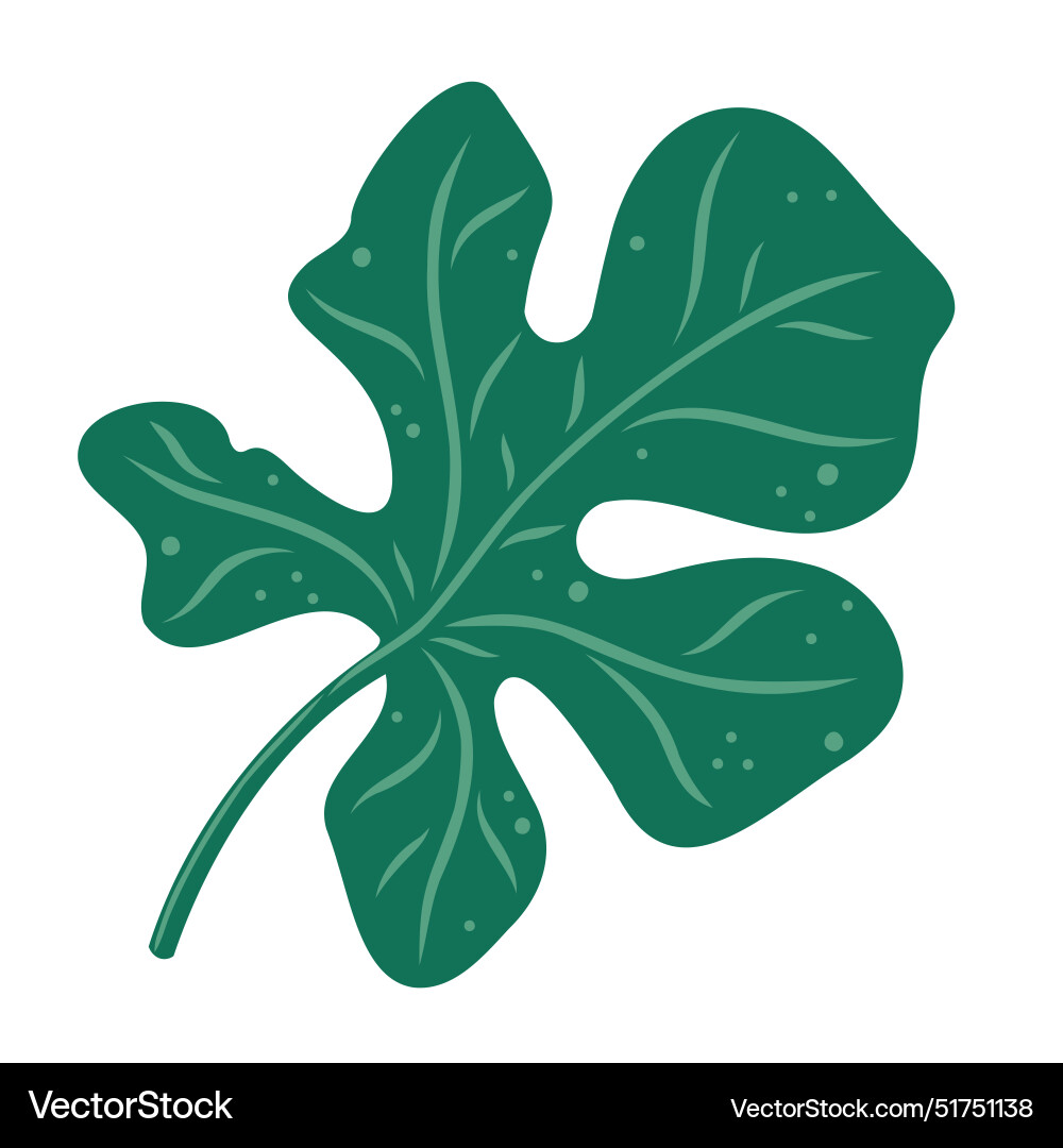 Watermelon plant leaves flat Royalty Free Vector Image