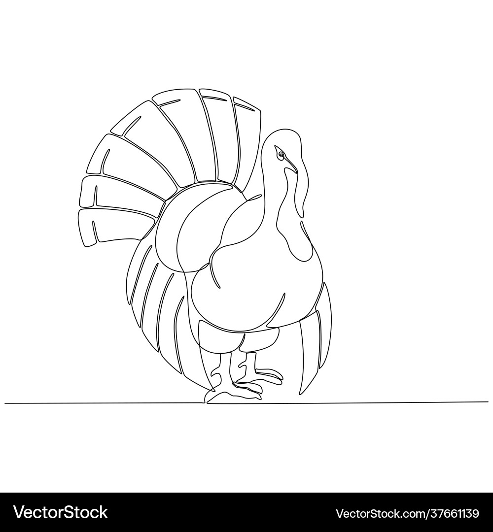 Continuous line drawing turkey Royalty Free Vector Image