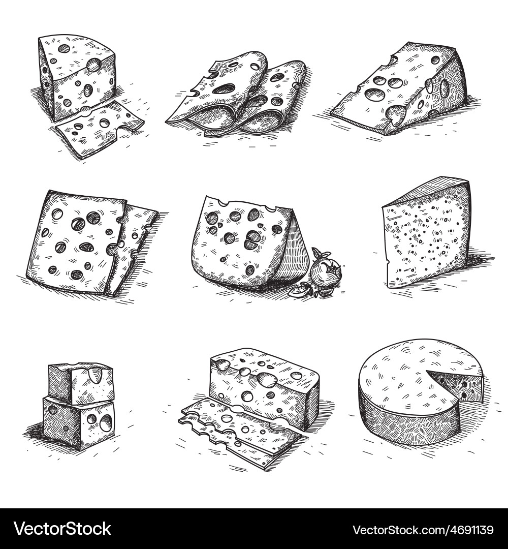 Hand drawn doodle sketch cheese with different Vector Image