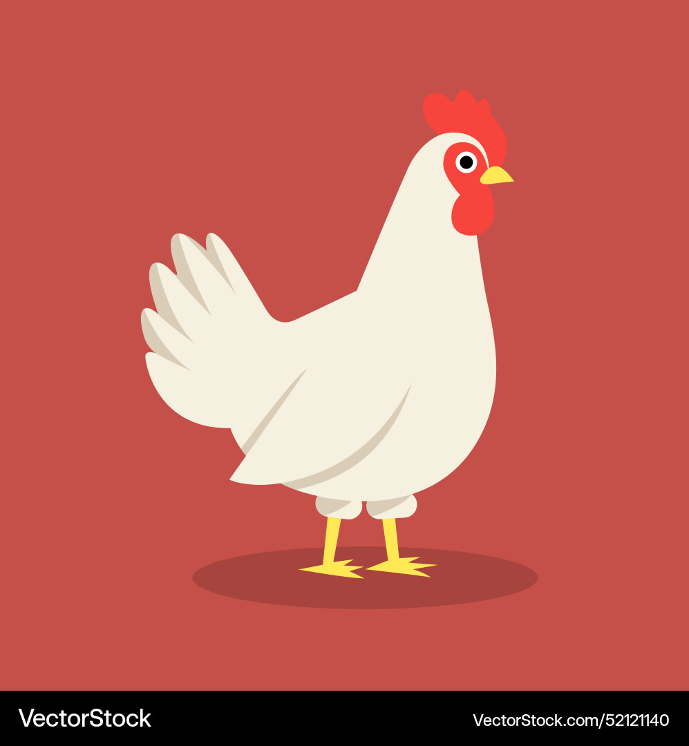 Chicken flat white Royalty Free Vector Image - VectorStock
