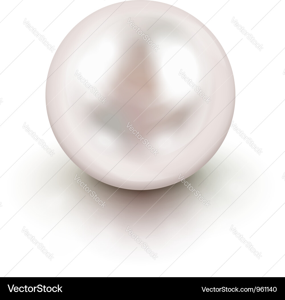 Pearl Shell Vector Images (over 9,400)