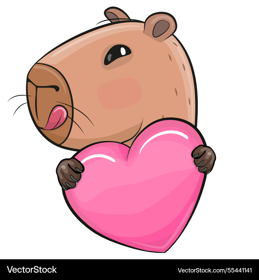 Cartoon capybara with heart on a white background Vector Image