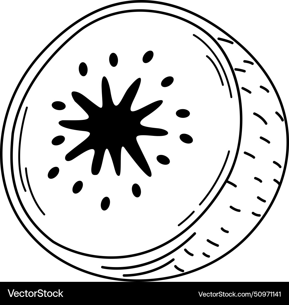 Colorful kiwi outline white on background Vector Image