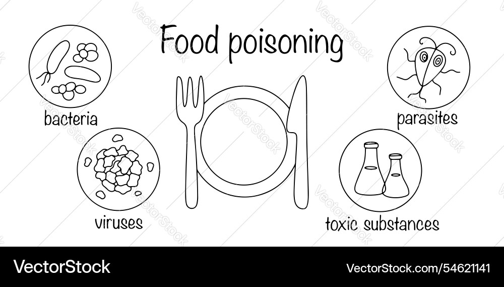 Food poisoning reasons Royalty Free Vector Image