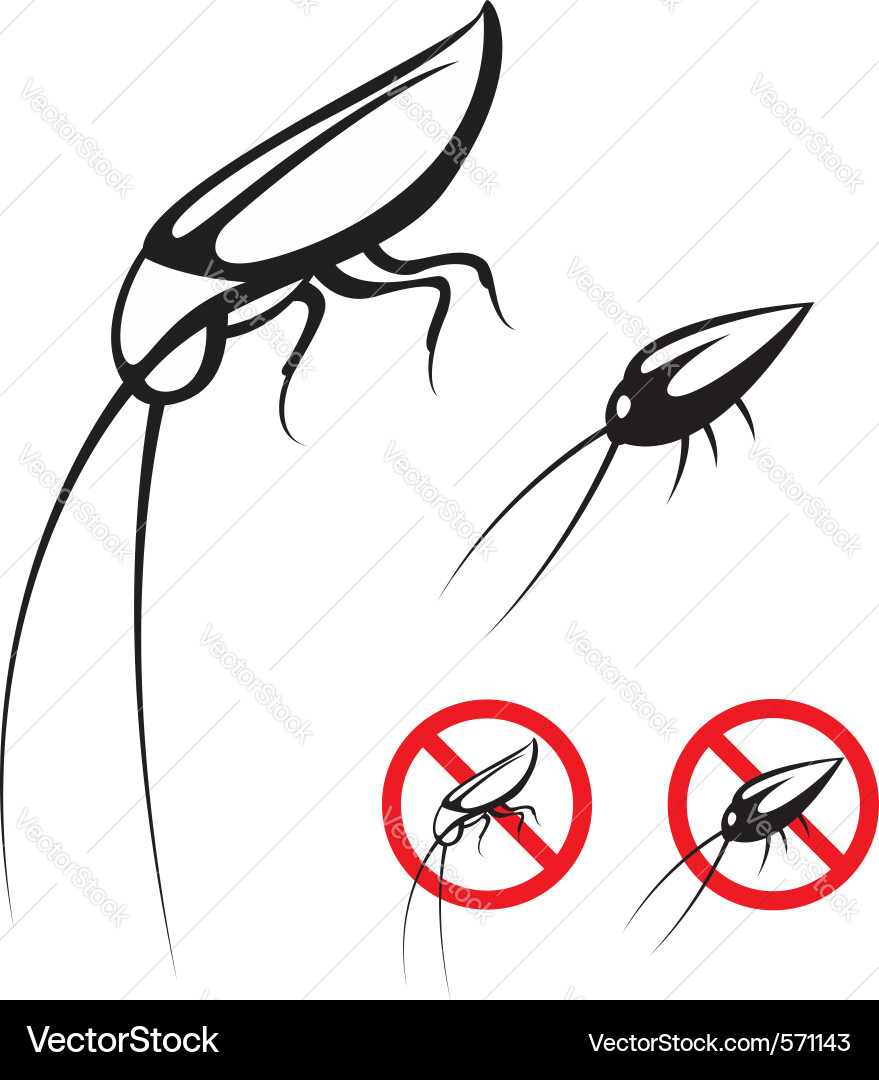 Cockroach available Royalty Free Vector Image - VectorStock