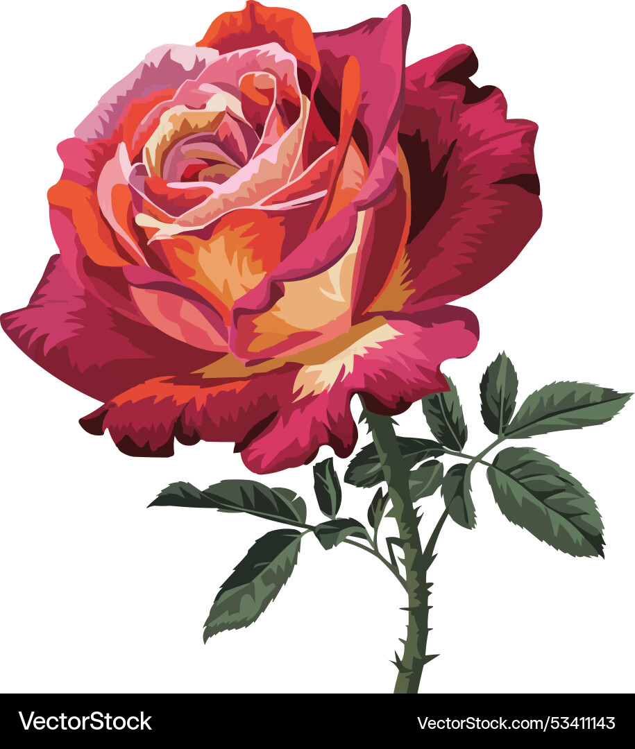 Pink rose flower art Royalty Free Vector Image