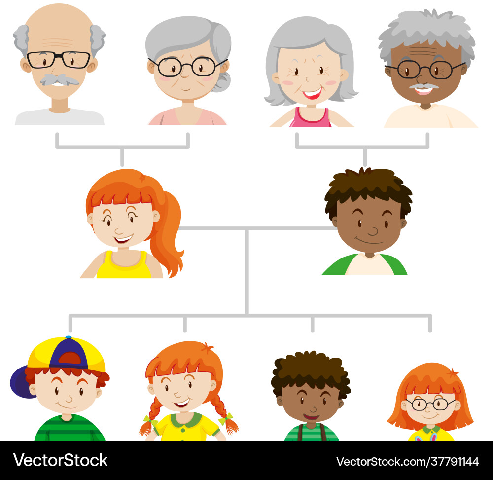 Diagram showing three generation family tree Vector Image