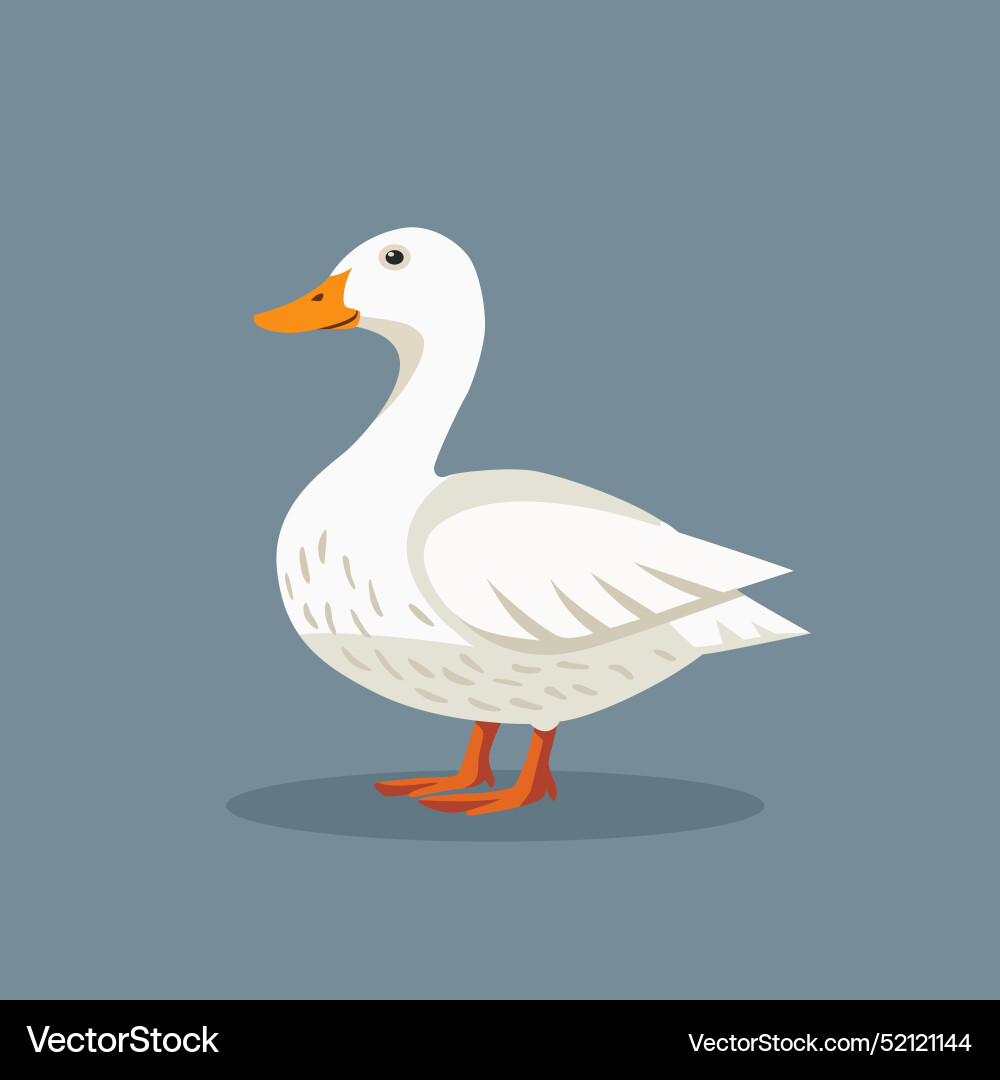 Duck flat white Royalty Free Vector Image - VectorStock