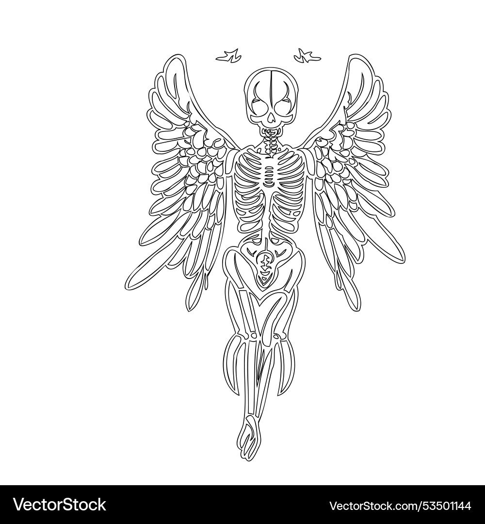 Skeleton angel outline sketch Royalty Free Vector Image