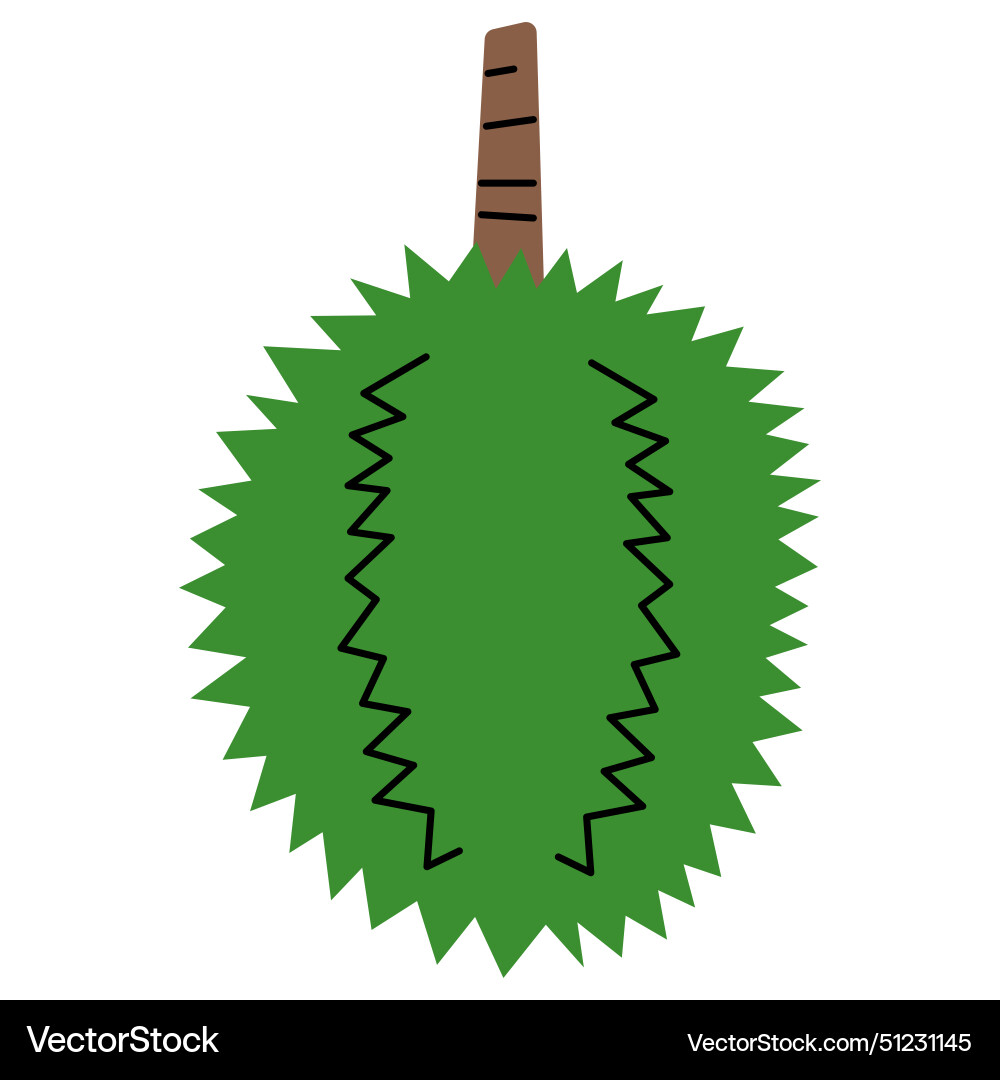 Durian Royalty Free Vector Image - VectorStock