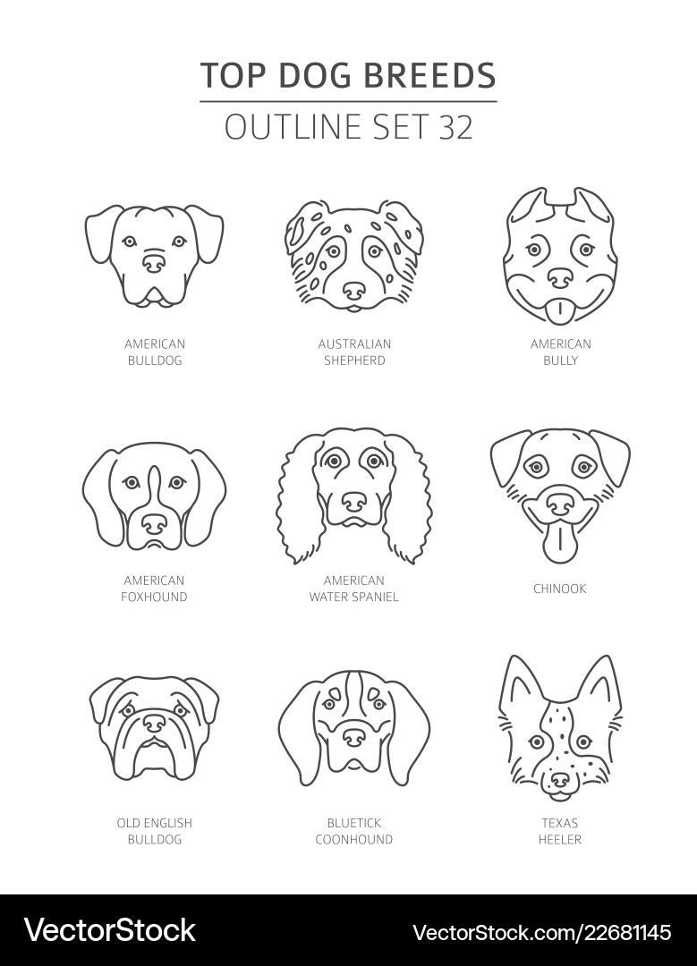 Top dog breeds pet outline collection Royalty Free Vector
