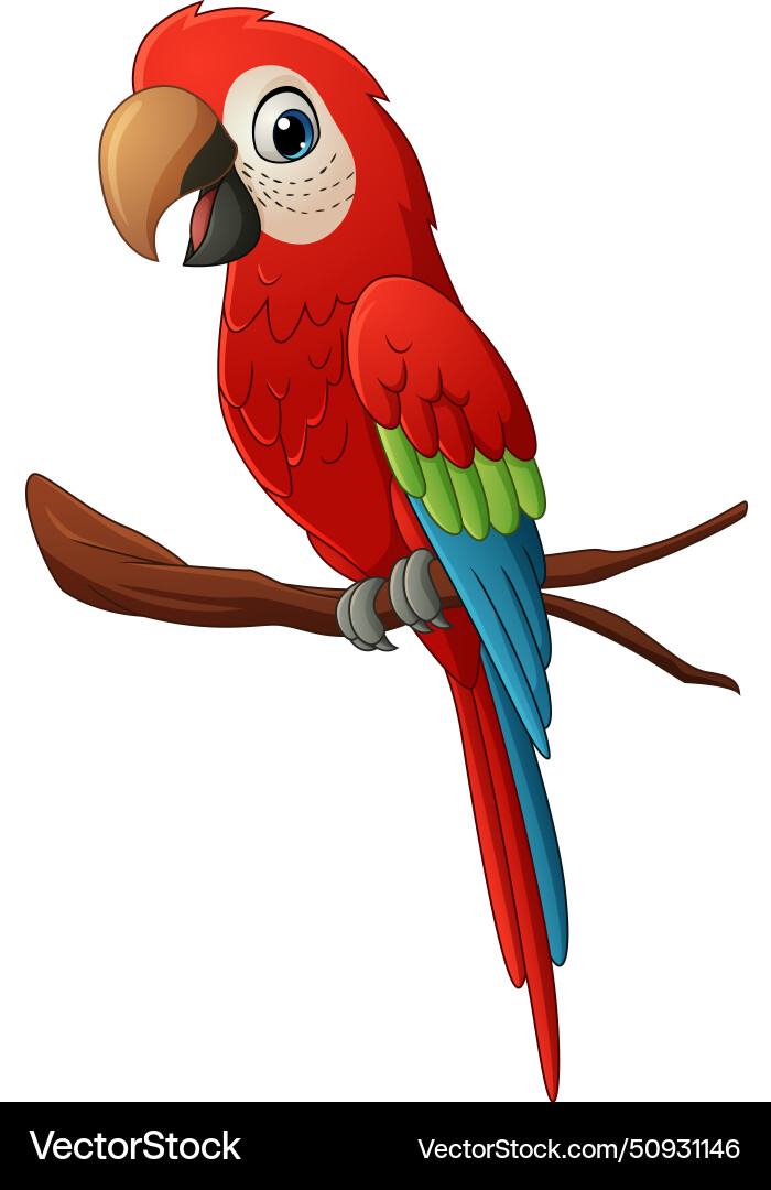 Cartoon red parrot on a branch Royalty Free Vector Image