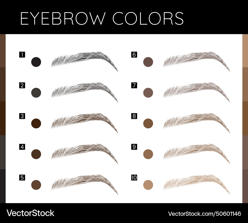 Eyebrows colors make up Royalty Free Vector Image