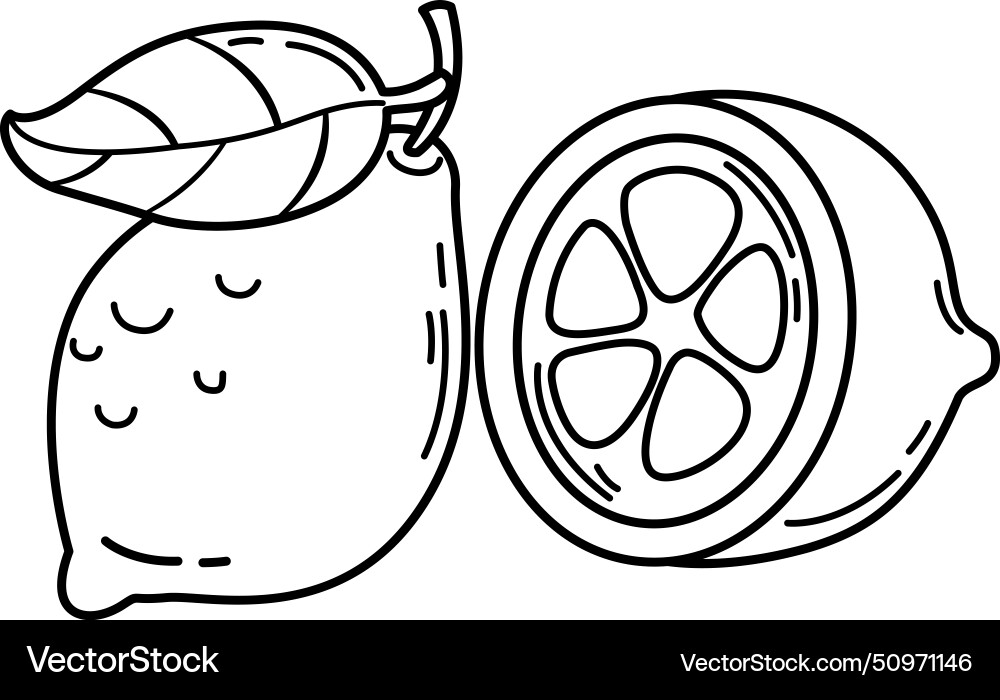 Fresh lemon fruit outline white on background Vector Image