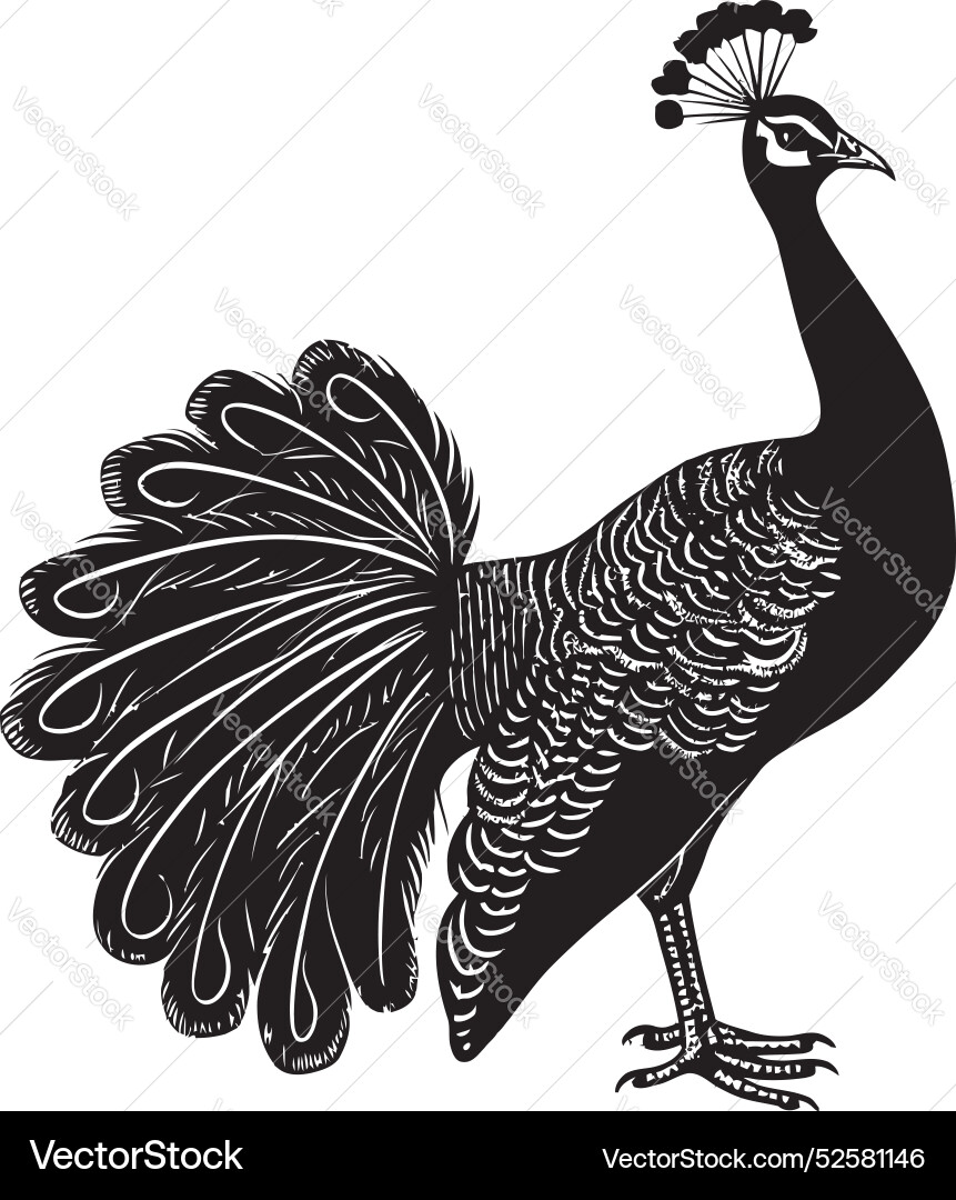 Royal elegance peacock black logo design icon Vector Image