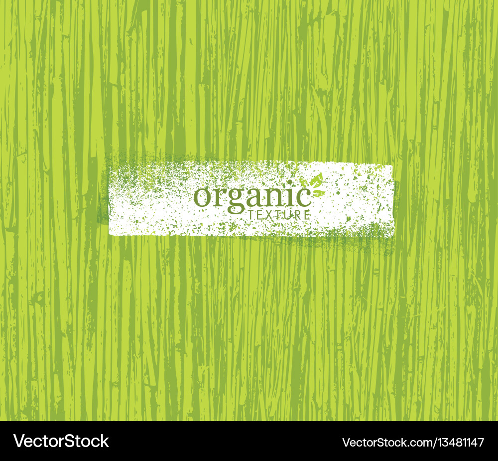 Bamboo Texture Background Royalty Free Vector Image