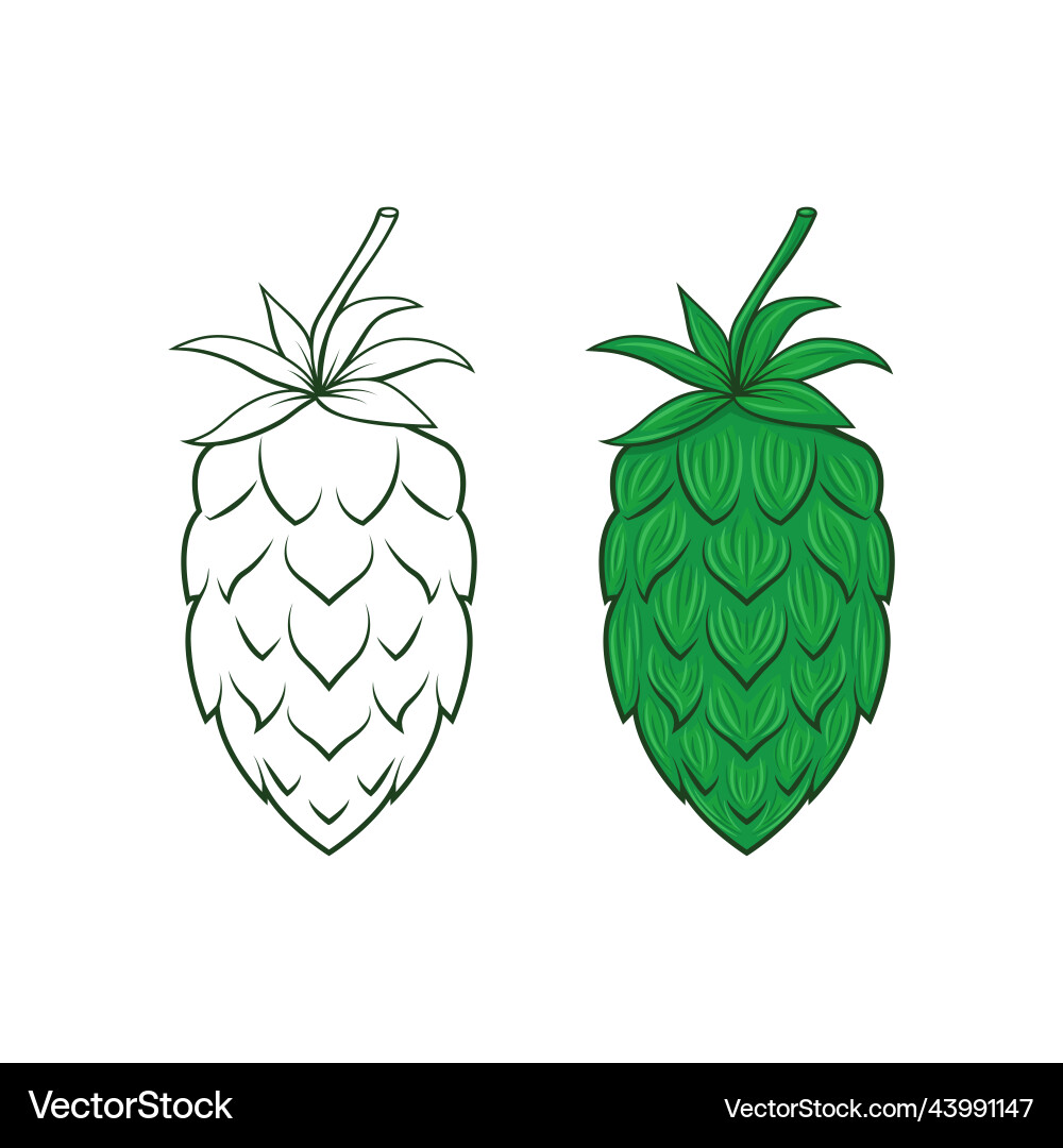 Colored hand drawn cartoon hop for emblem Vector Image