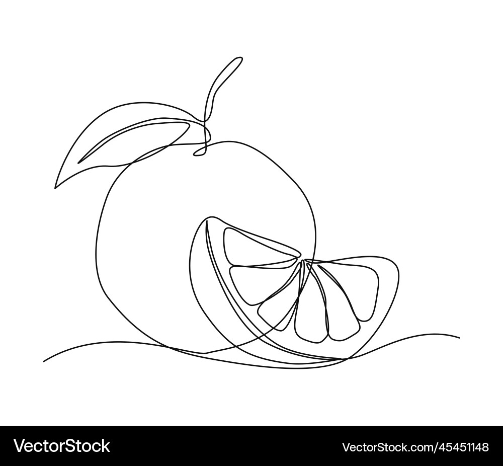 Orange Fruit Line Drawing Orange Fruit Outline Vector Images (over