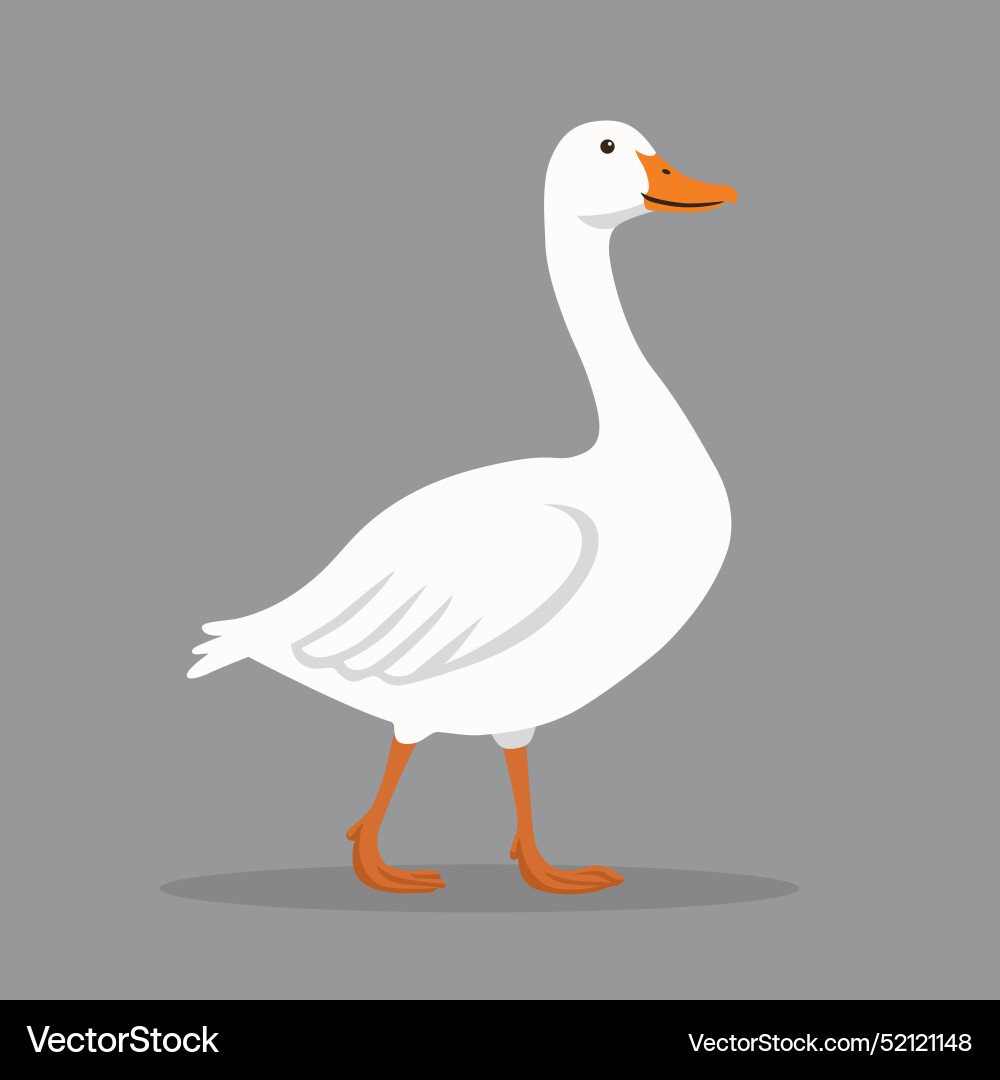 Goose flat white farm bird Royalty Free Vector Image