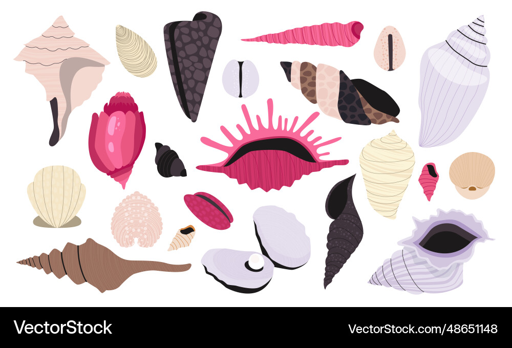Seashell collection cartoon shellfish and coral Vector Image
