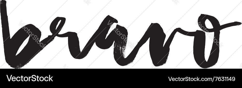 Bravo greeting inscription handmade Royalty Free Vector