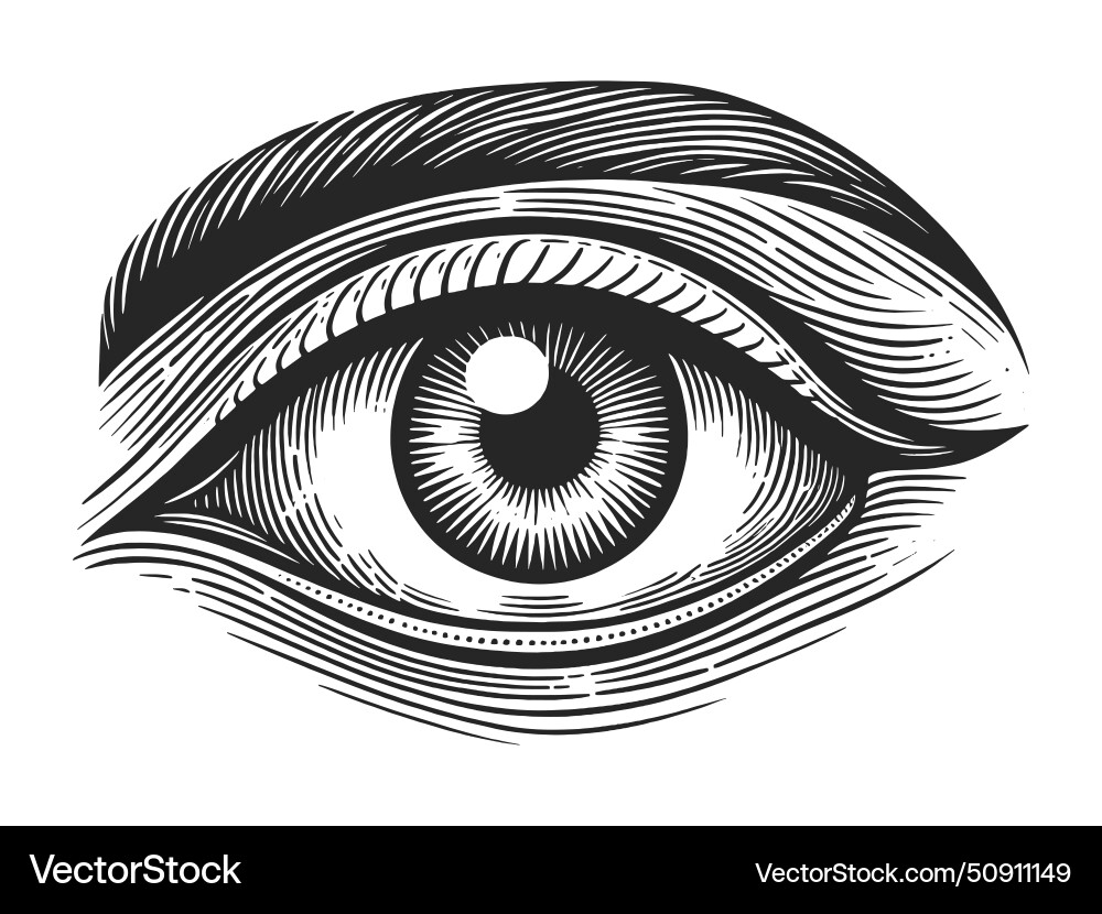 Detailed human eye engraving Royalty Free Vector Image