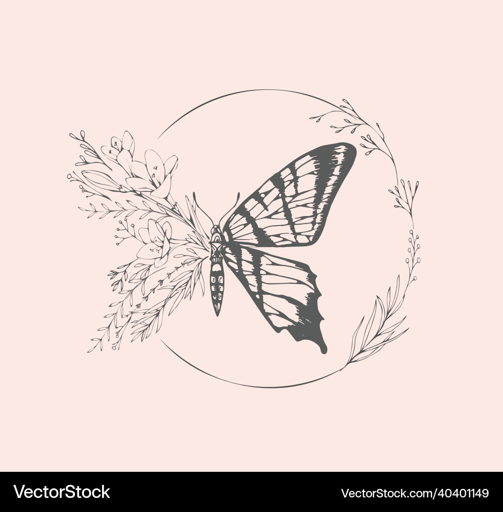 Half shape butterfly with branch and flowers Vector Image